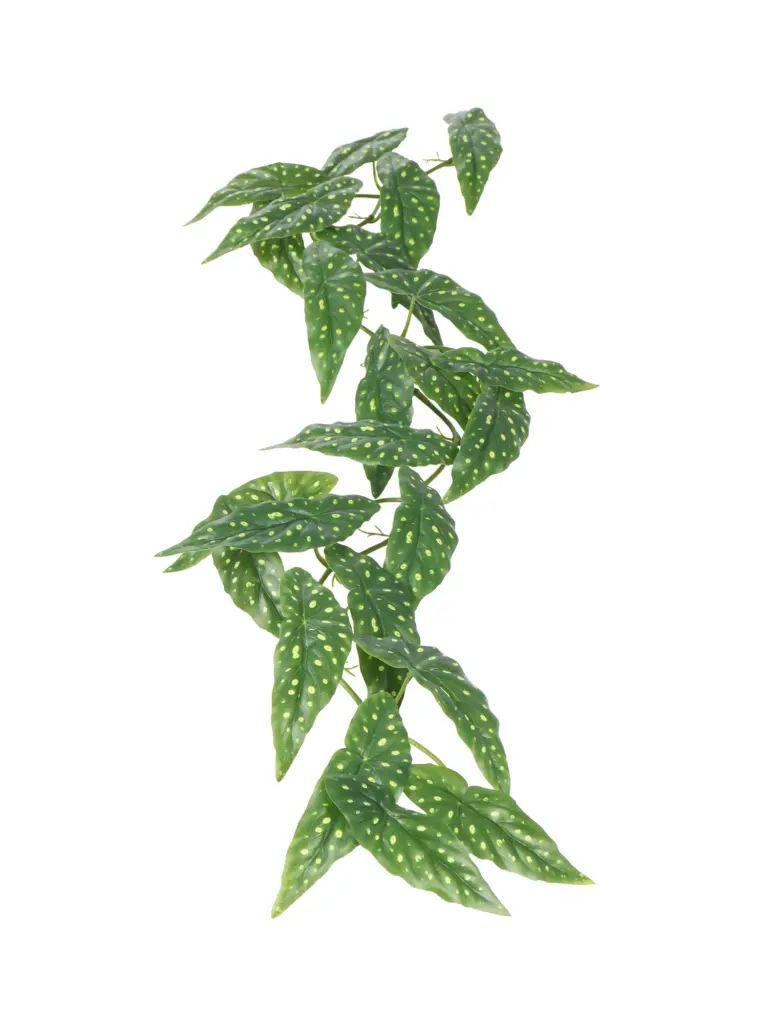 Kunstslinger Begonia Met Stippen 140cm - Kunstpalm.nl